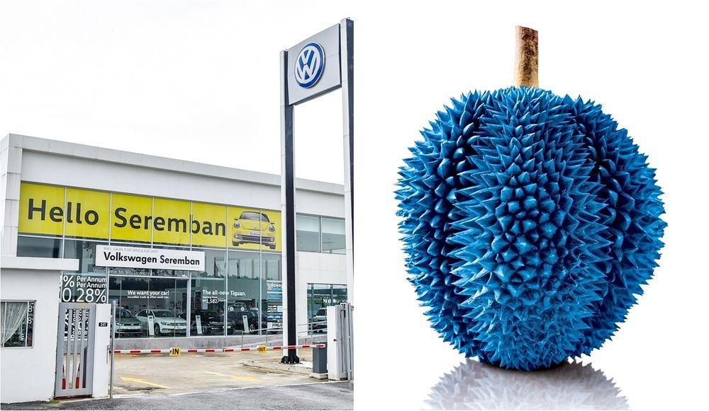The Iconic Blue Durian is Back! Volkswagen Nationwide Raya Open House ...