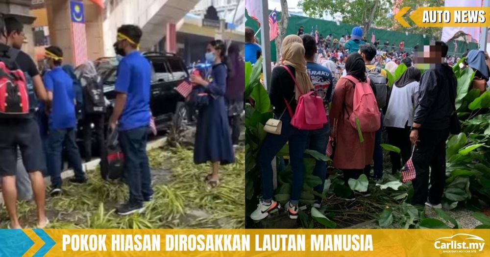 Pokok Tepi Jalan Dirosakkan, DBKL Kesal Tindakan Segelintir Pengunjung ...