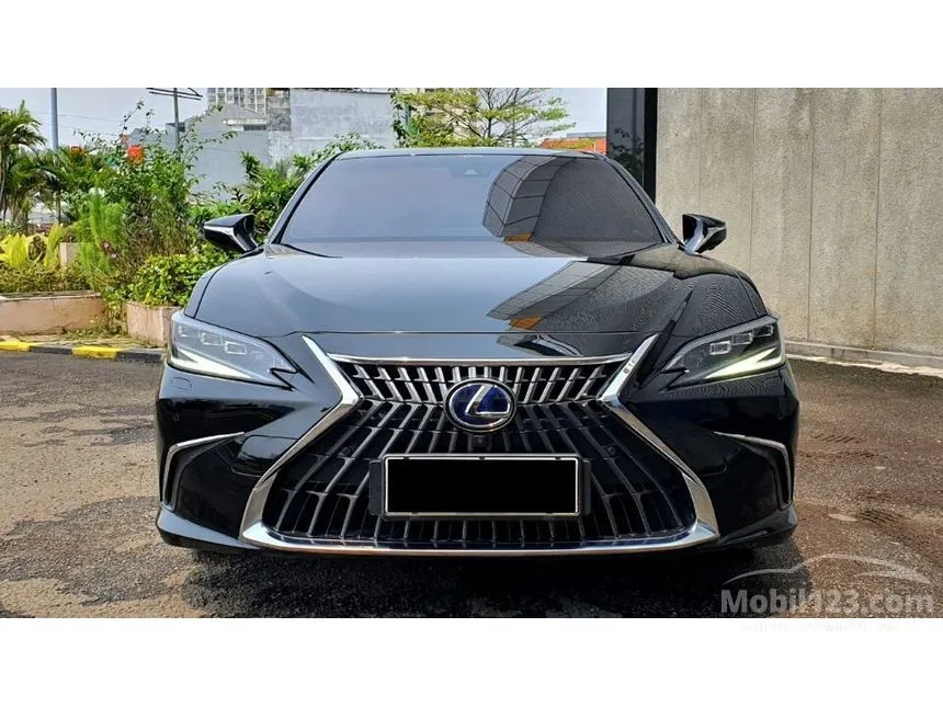 Jual Mobil Lexus ES300h 2021 Ultra Luxury 2.5 di DKI Jakarta Automatic ...